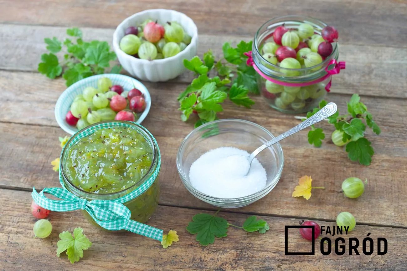 Konfitura z agrestu – najlepsze przepisy na przygotowanie konfitury ...