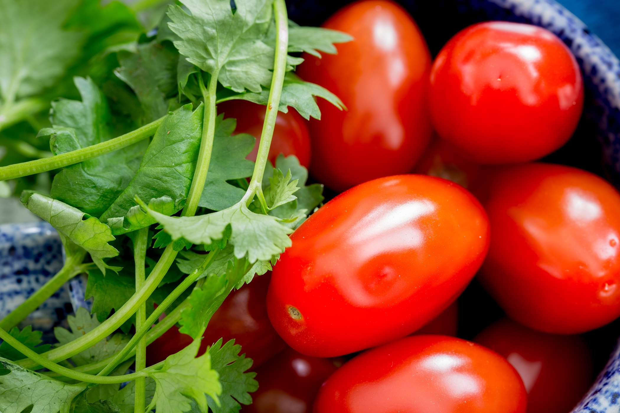 Zdjęcia pomidora 'lima' - 3 fotografie