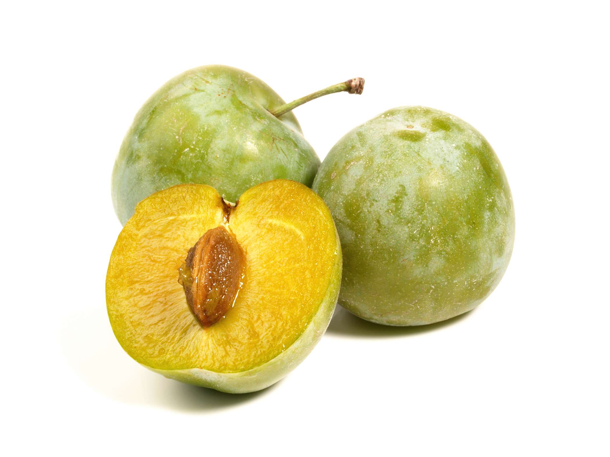 Zdjęcia śliwy 'renkloda ulena' - 5 fotografii