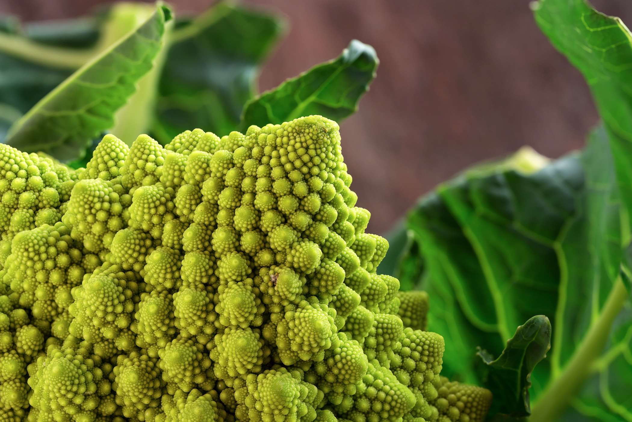 Zdjęcia kalafiora romanesco - 5 fotografii